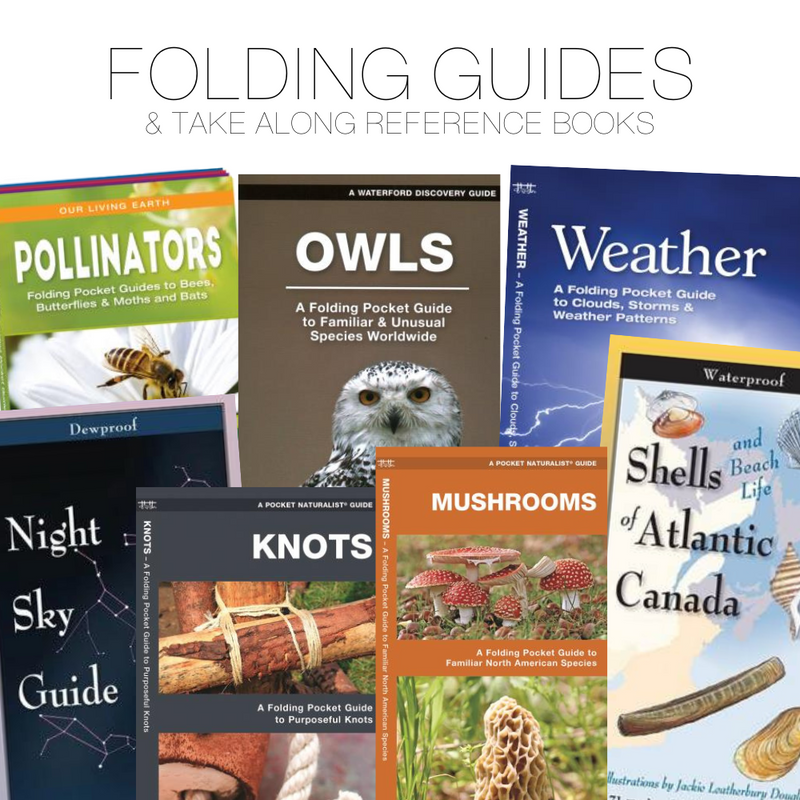 Folding Guides - Modern Rascals