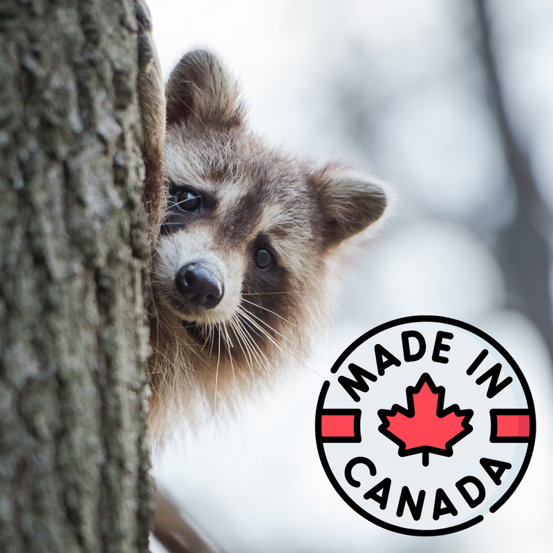 Modern Rascals Canada | Organic Clothes & Toys Kids Love