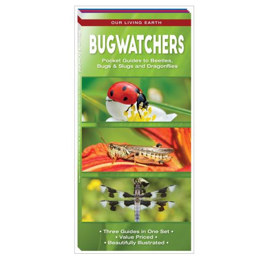 Bugwatchers by National Book Network - Modern Rascals