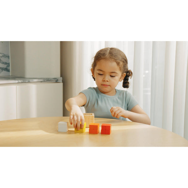 Fraction Cubes by PlanToys - Modern Rascals