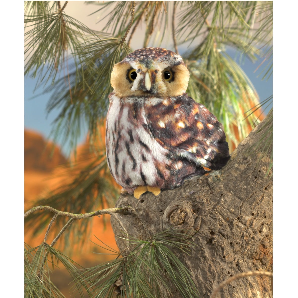 Pygmy Owl Puppet by Folkmanis Puppets - Modern Rascals