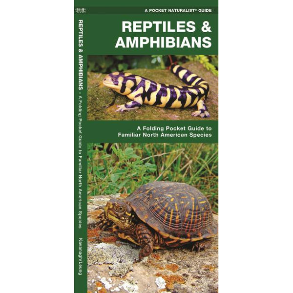 Reptiles and Amphibians: A Folding Pocket Guide to Familiar North ...